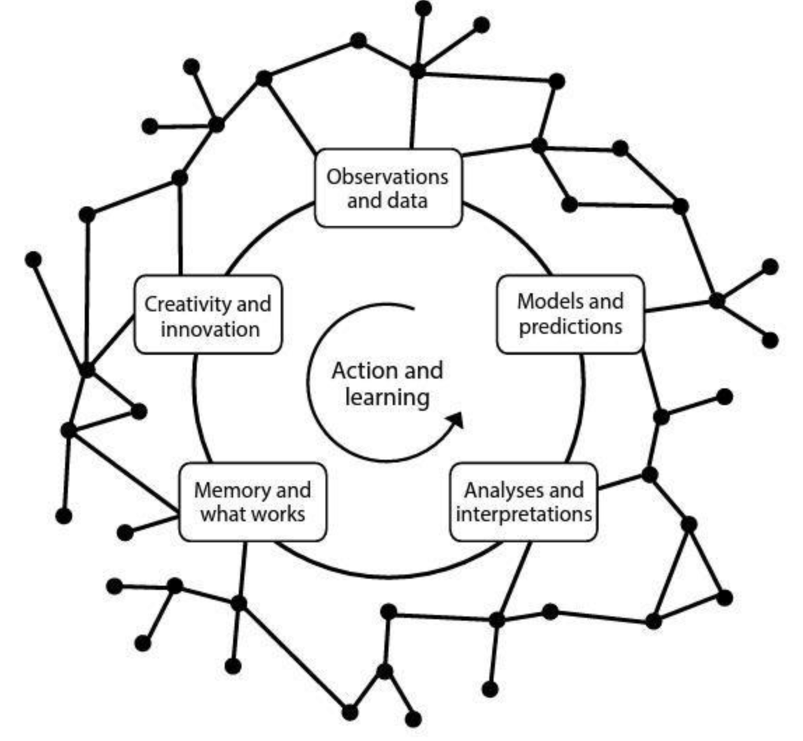 Building Mina’s hive mind through collective intelligence | Mina Protocol