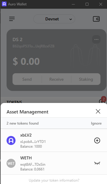 Custom Tokens Now Supported on Auro Wallet | Mina Protocol