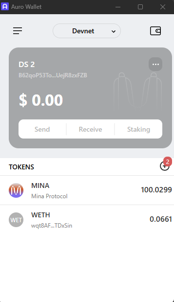 Custom Tokens Now Supported on Auro Wallet | Mina Protocol