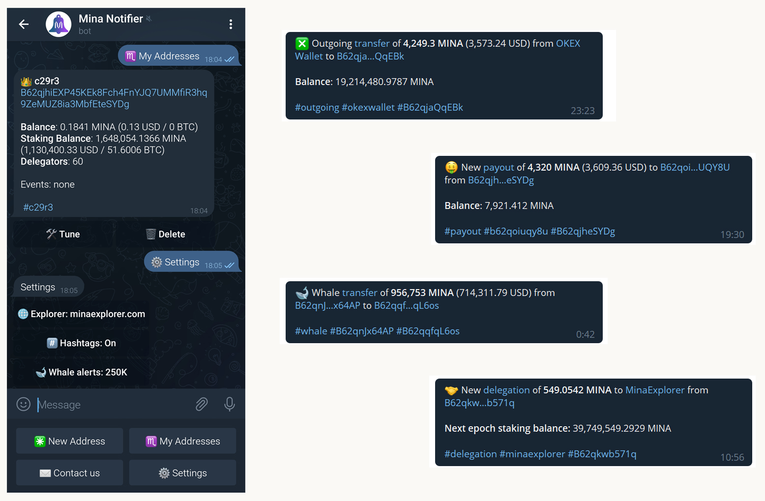 Mina Ecosystem Updates - July 2022 | Mina Protocol